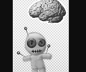 OF VOODOO AND THE BRAIN | News Archive News - The Indian Express
