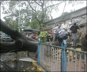 Cyclone Aila toll up to 168 in India,Bangladesh | India News - The ...
