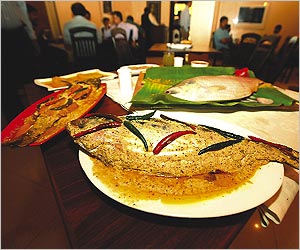 Swish Fish | Kolkata News - The Indian Express
