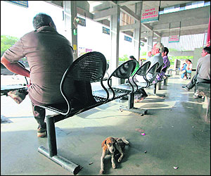 A picture of neglect: Panchkula bus stand | Chandigarh News - The ...