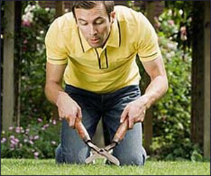 Smell of freshly cut grass can relieve stress | Lifestyle News - The ...