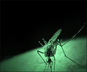 MP health department fully equipped to fight dengue: Chouhan | Health ...