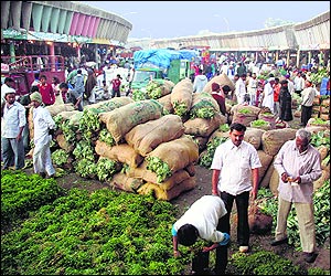 Cheaper veggies from Junnar farmers | Pune News - The Indian Express