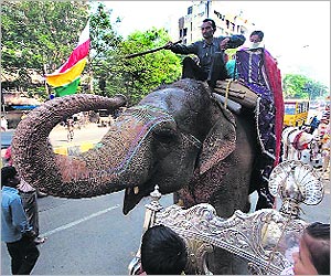 Two years after ban,elephants continue to beg on city roads | Cities ...