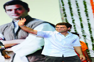Top of the charts | Chandigarh News - The Indian Express