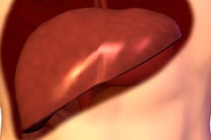 Human livers to be grown in labs? | Health News - The Indian Express