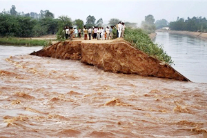 Situation worsens in flood-hit Punjab,Haryana | India News - The Indian ...