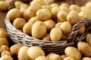Indian scientists grow world s first GM “protato” spuds | Health News ...