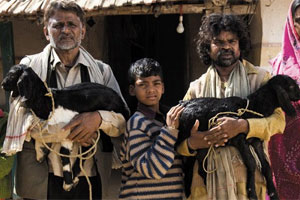 Peepli Live DVD first to cater to visual and hearing impaired ...