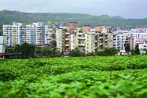 39.5% households have low standard of living: survey | Pune News - The ...