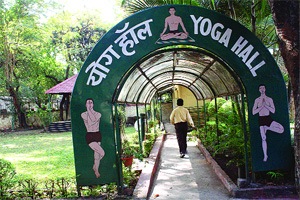 Nature s balm | Pune News - The Indian Express