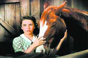 Here Lived Elizabeth | Entertainment-others News - The Indian Express