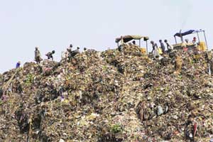 BMC dumps silt at saturated Deonar ground | Mumbai News - The Indian ...