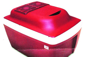 Thanks to postmen, ChotuKool is a rage in rural households | Ahmedabad ...