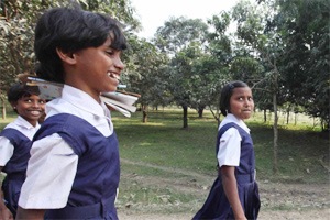 CBSE helpline: Most queries coming from parents | Chandigarh News - The ...