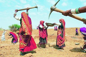 MNREGS scams: Jairam raises heat,seeks info | Ahmedabad News - The ...