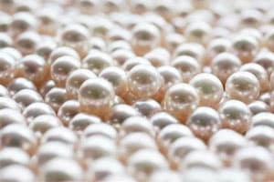 Oldest pearl aged 7,500 years found in the UAE | World News - The ...