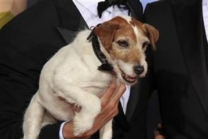 ‘The Artist’s dog’s pawmarks to be immortalised | Entertainment-others ...