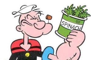Popeye is right in saying spinach makes you stronger: study | Health ...