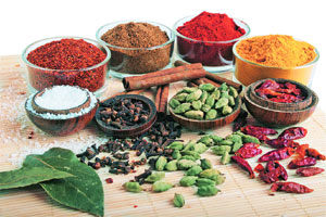 Mirchi at the Table | India News - The Indian Express