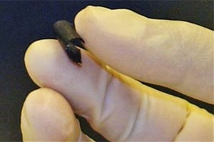 Scientists create flexible battery that can be folded | Technology News ...