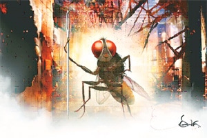 Review: Makkhi | Entertainment-others News - The Indian Express