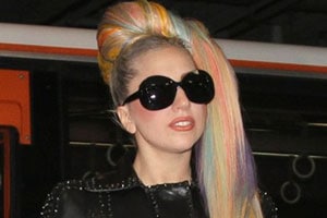 19 new ferns named in honour of Lady Gaga | Entertainment-others News ...