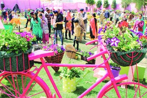 MC flower show concludes,2,261 entries received | Ludhiana News - The ...