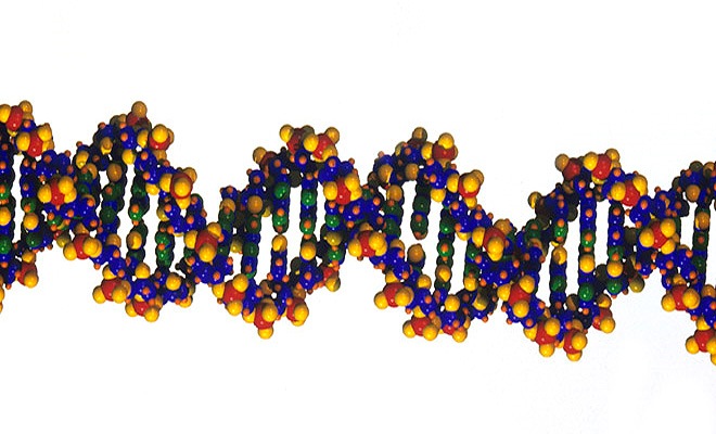 US Supreme court weighs patentability of human genes | Health News ...