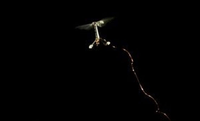 Fly-sized robot takes first controlled flight | Technology News - The ...