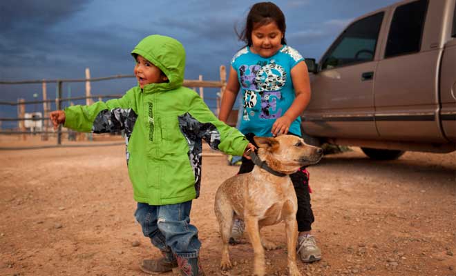 Dogs experience ‘runner’s high’ like humans | News Archive News - The ...