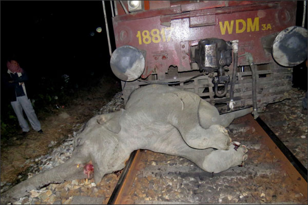 Week in pics (Jan 7 to 13,2013) | Picture Gallery Others News,The ...