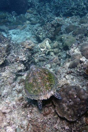 Latest News on Fast Track Courts: Get Fast Track Courts News Updates ...