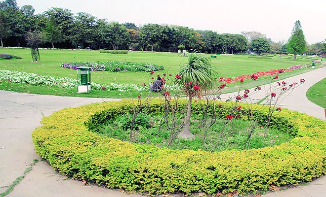 Green spaces in city should be inviolable,stresses Master Plan ...