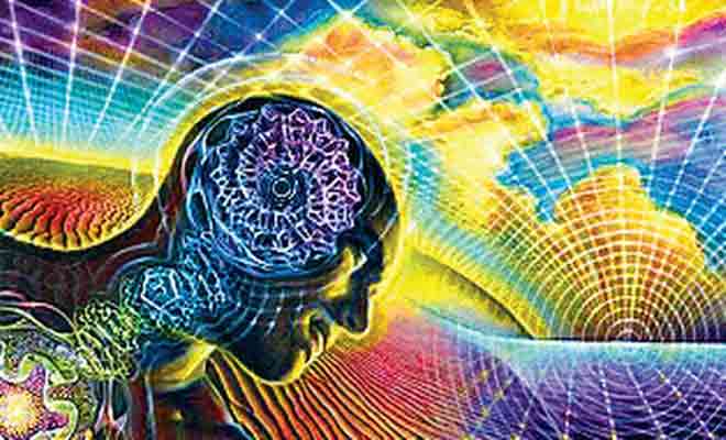 How brain learns to pay attention decoded | Health News - The Indian ...
