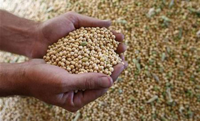 Soybean compound may inhibit HIV | Health News - The Indian Express Soybean compound may inhibit HIV | Health News - The Indian Express