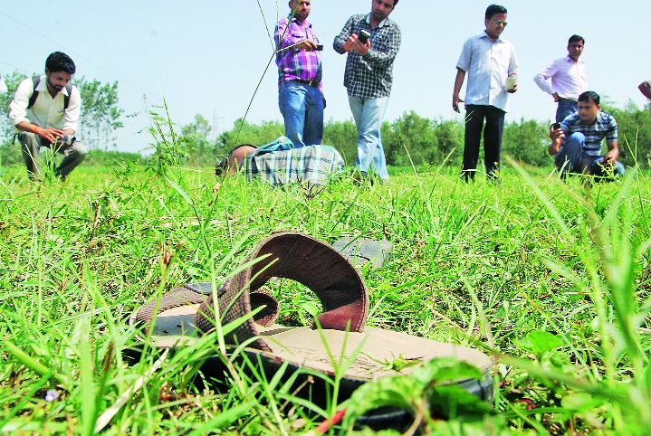 9 killed in communal riots in Muzaffarnagar,curfew clamped,army ...