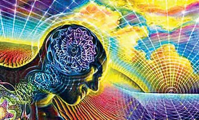 Brain processes ‘big’ words faster than ‘small’ ones | Lifestyle News ...