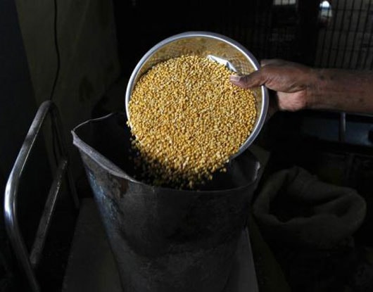 Subsidised food in India | Business Gallery News - The Indian Express