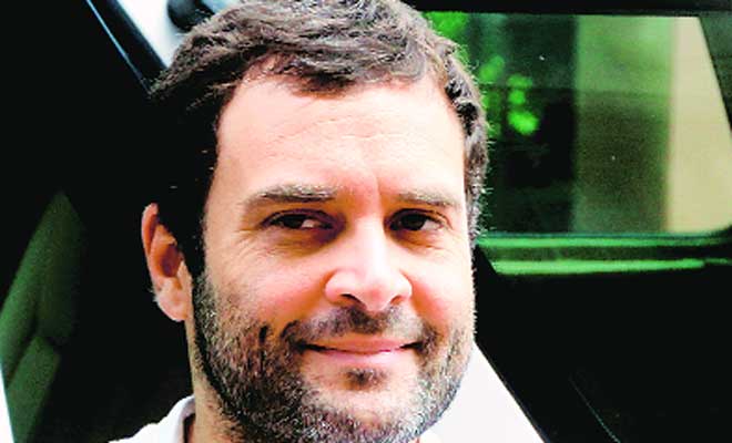 As Rahul takes charge,Cong poll panel now a rubber stamp | News Archive ...