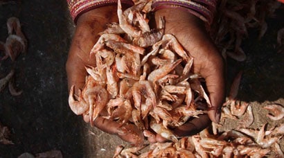 Koli community maintains tradition and culture through the ages ...