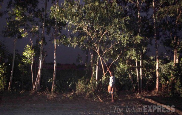 Another girl found hanging from tree in UP | Picture Gallery Others ...