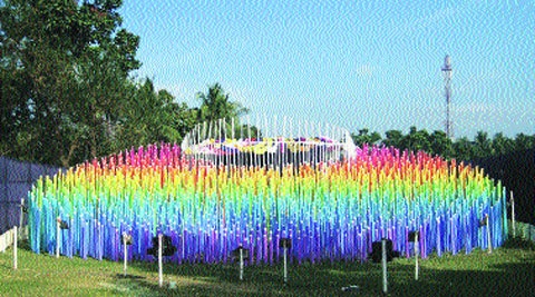 Carnival Colours | Delhi News - The Indian Express