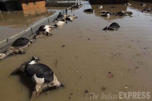 J&K floods aftermath: Deluge of relief camps | Picture Gallery Others ...