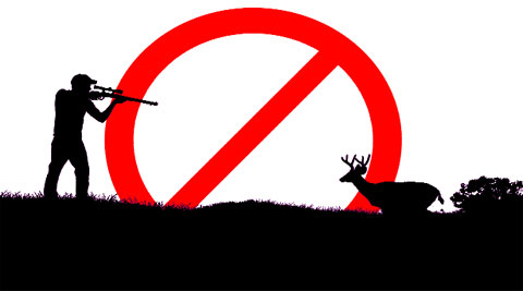 ‘Hunting is cruel, harms environment’ | Cities News, The Indian Express
