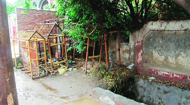 2006 Nithari killings: Judgment in case expected today | India News,The ...