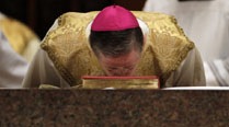 Chicago gets new, more moderate archbishop | World News - The Indian ...