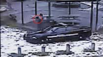 Tamir Rice: Police shot after encountering him | World News - The ...