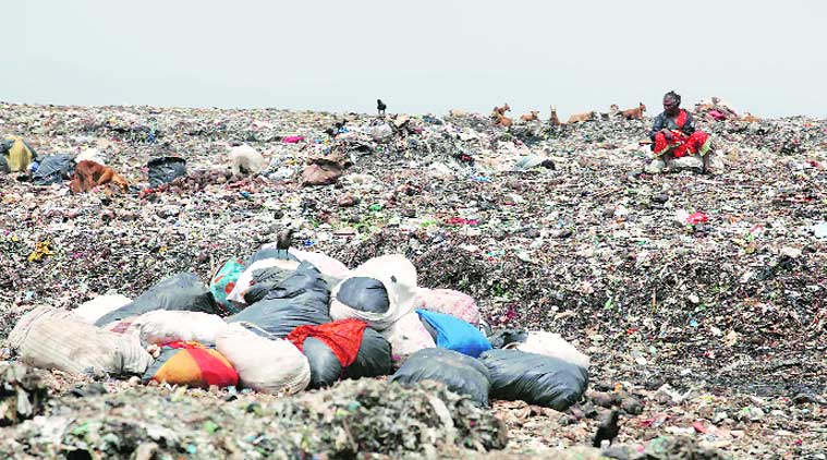 More than 3,500 tonnes of plastic generated daily in 60 cities: Govt ...