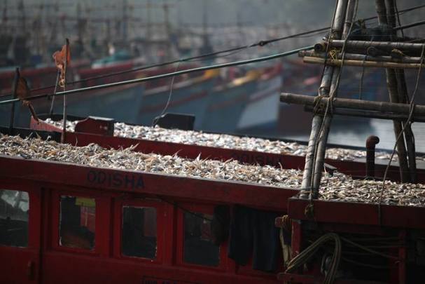 Letters from Latitude 20°15′ – Part 1: Nitai Mandal, at the lighthouse ...